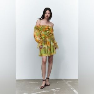 Zara | Dresses | Zara Ruffled And Tulle Dress | Poshmark